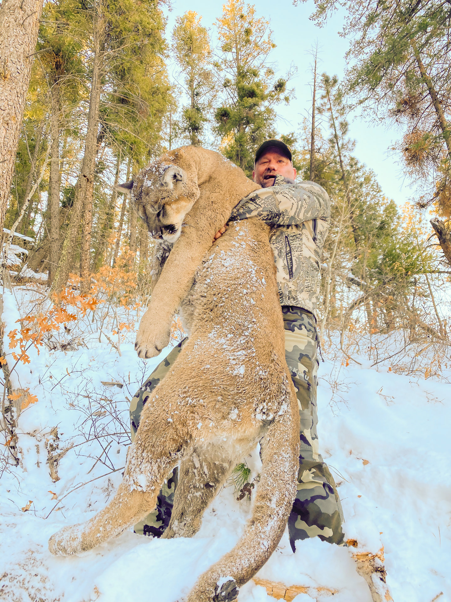 Mountain Lion – Black Timber Outfitters