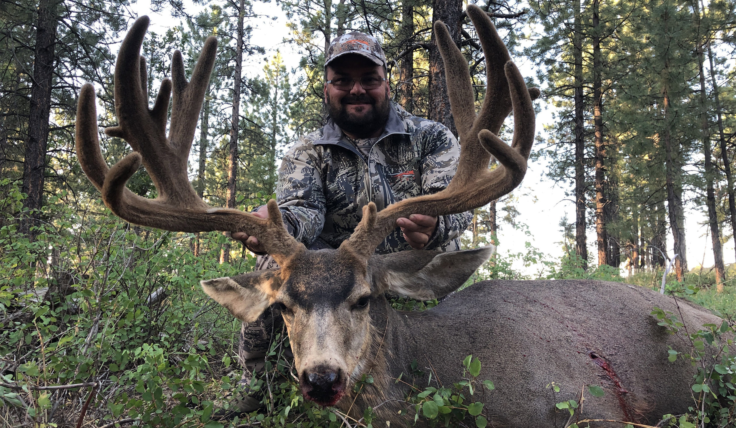 Index of /wp-content/uploads/2020/06